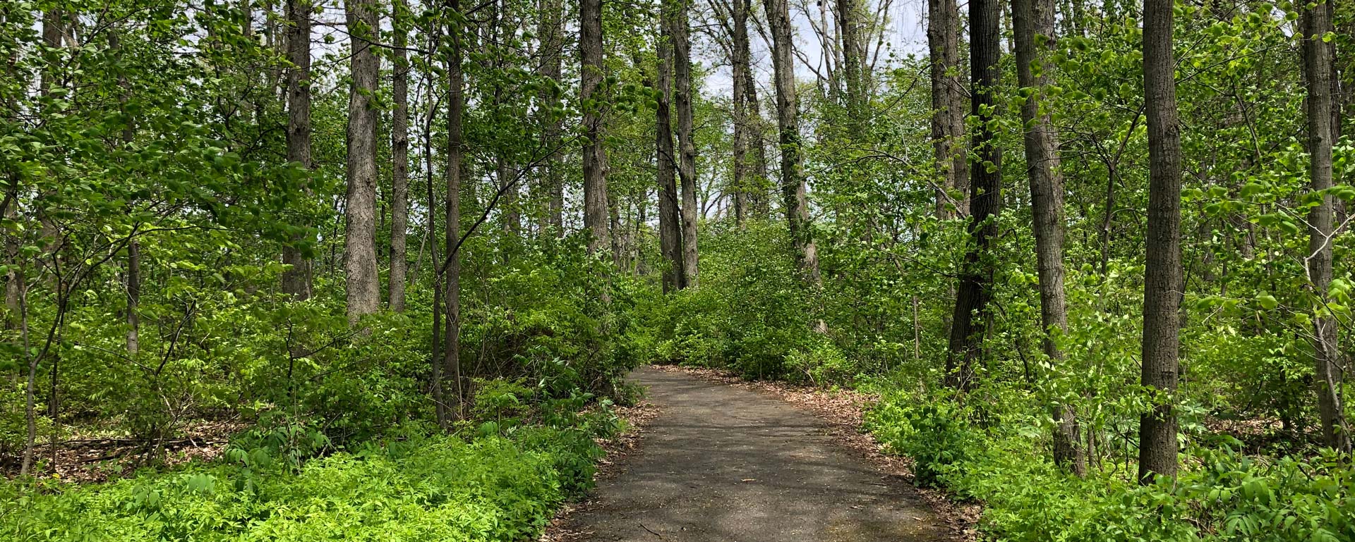 Expert Fence Company in Plainfield, IN